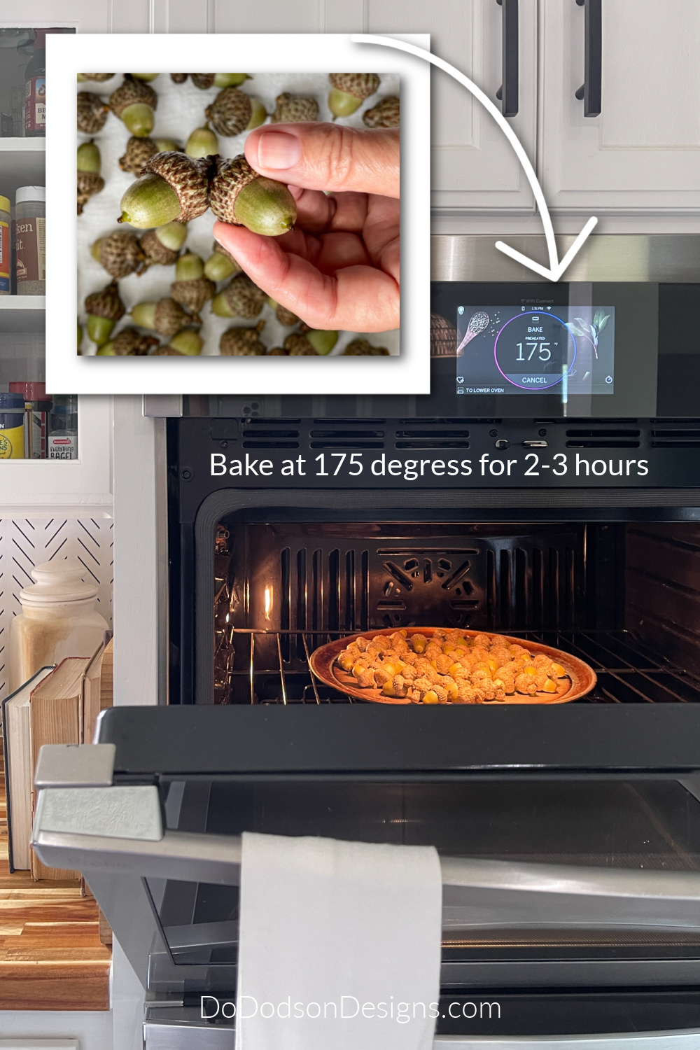 How To Preserve Acorns for Fall Crafts and Decorating - Do Dodson Designs