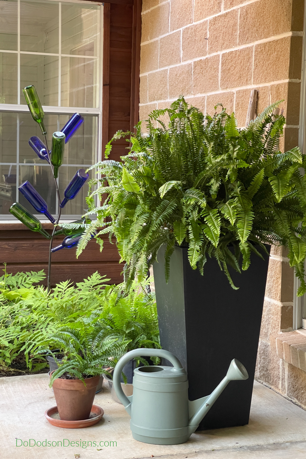 Things You Should Know To Keep Ferns Alive in Winter Months - Do Dodson ...